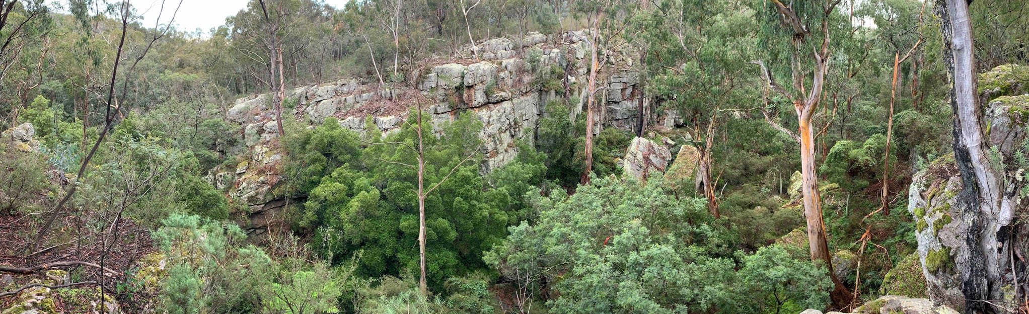 Nicholson Rocks Walk, Victoria, Australia - 15 Reviews, Map | AllTrails