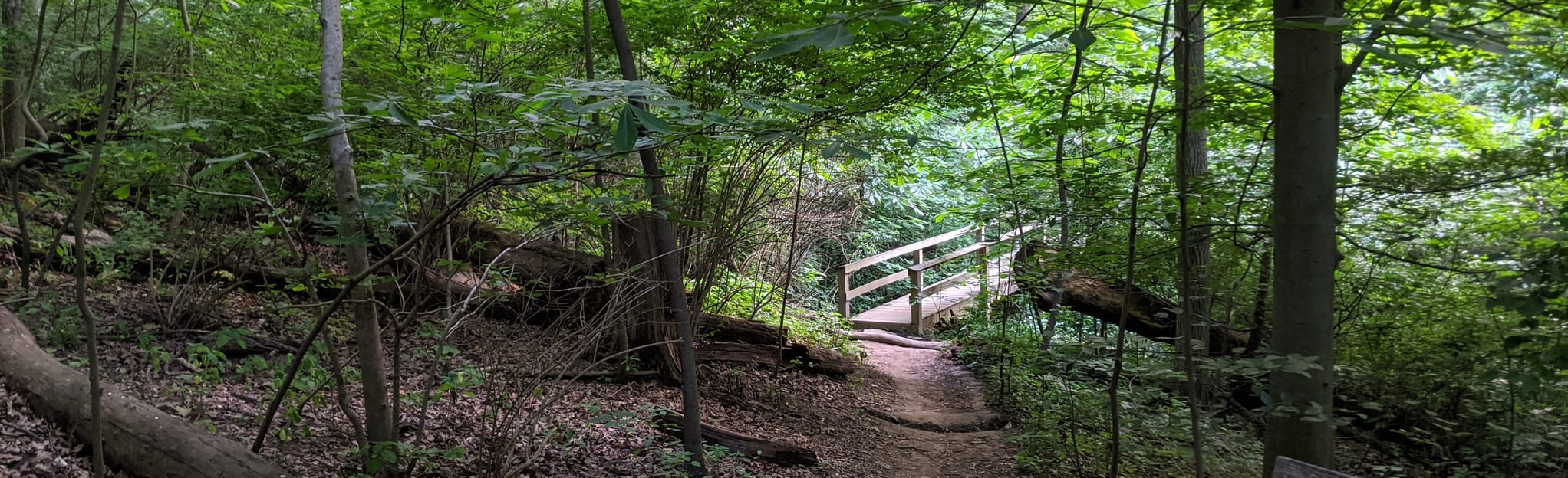 Tree and Forest Loop Trail , Ohio - 199 Reviews, Map | AllTrails