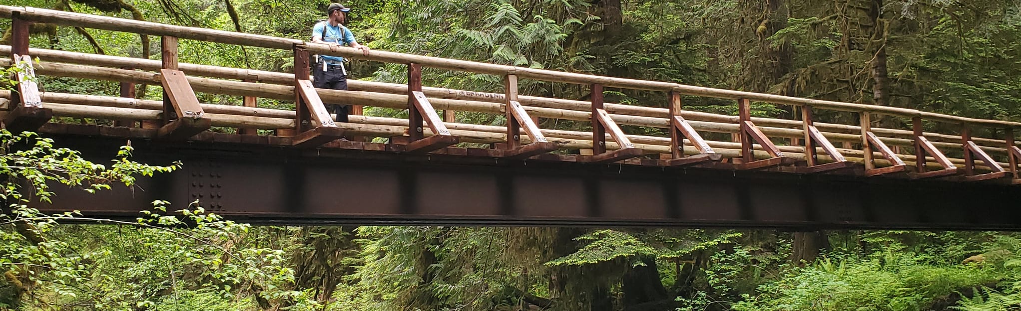 Upper Gray Wolf Trail: 224 foton – Washington | AllTrails