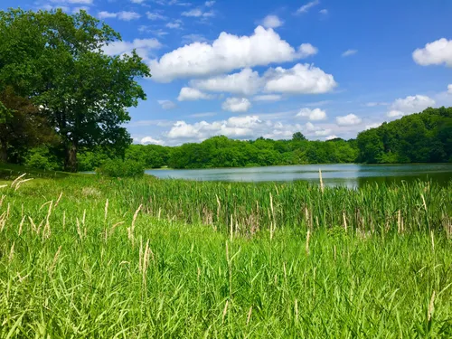 Best Hikes and Trails in Red Haw State Park | AllTrails