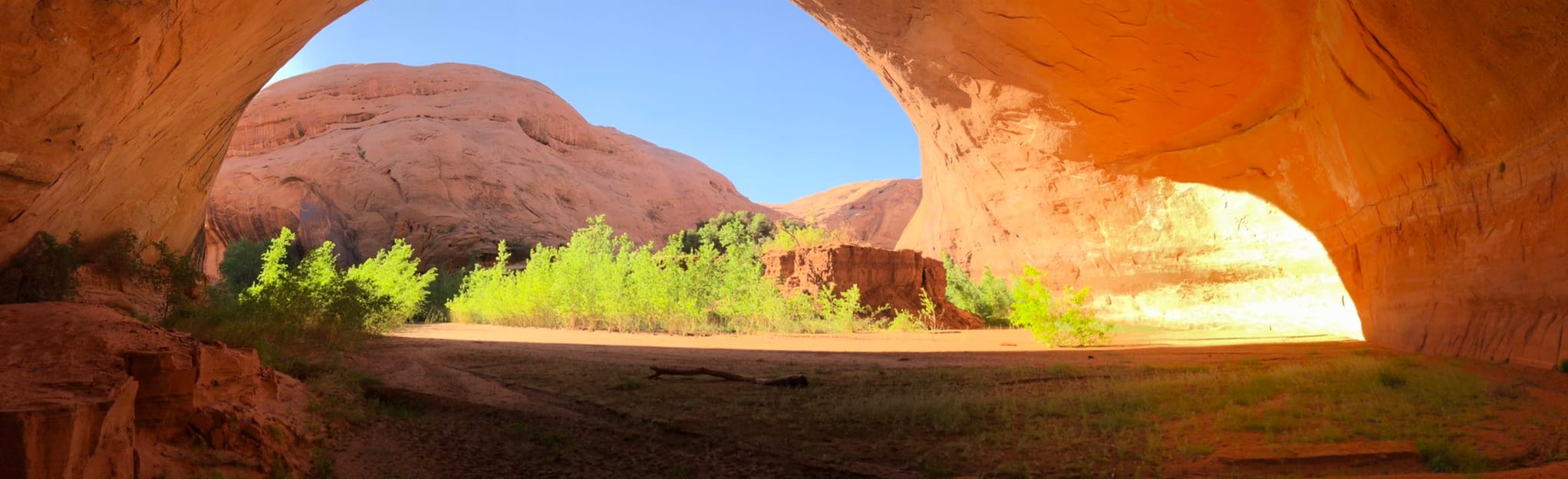 Davis Gulch Trail: 7 Reviews, Map - Utah | AllTrails