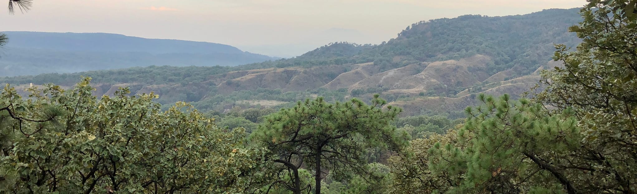 Bosque de la Primavera Camino Central - La Primavera, Jalisco, Mexico ...