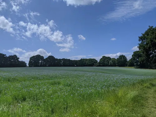 10 Best Hikes and Trails in High Weald Area of Outstanding Natural ...