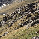 Challenger Point, Colorado - 90 Reviews, Map | AllTrails