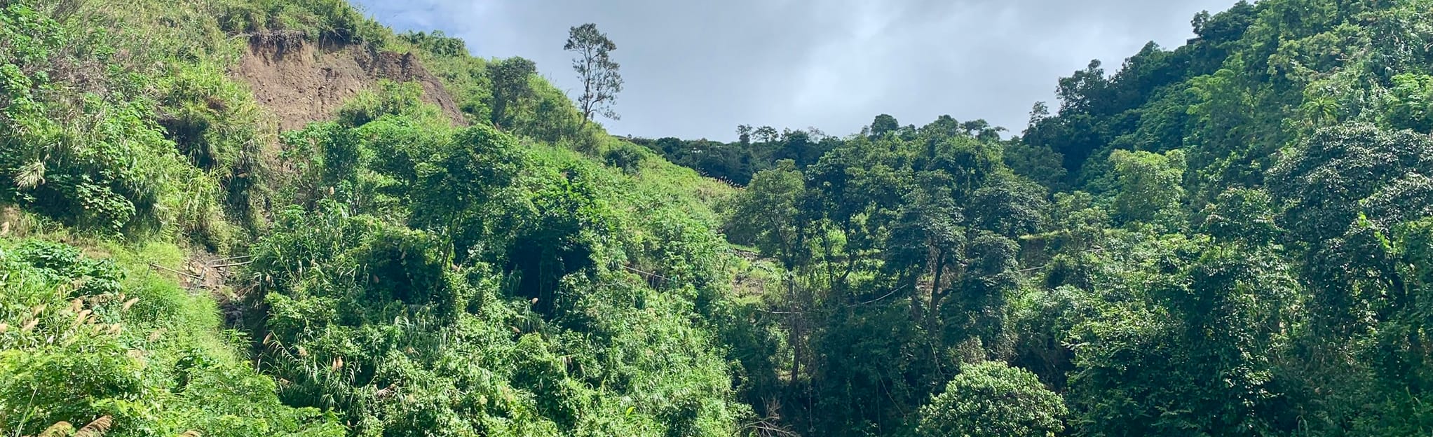 Buscalan Tinglayan, Kalinga, Philippines - 7 Reviews, Map | AllTrails