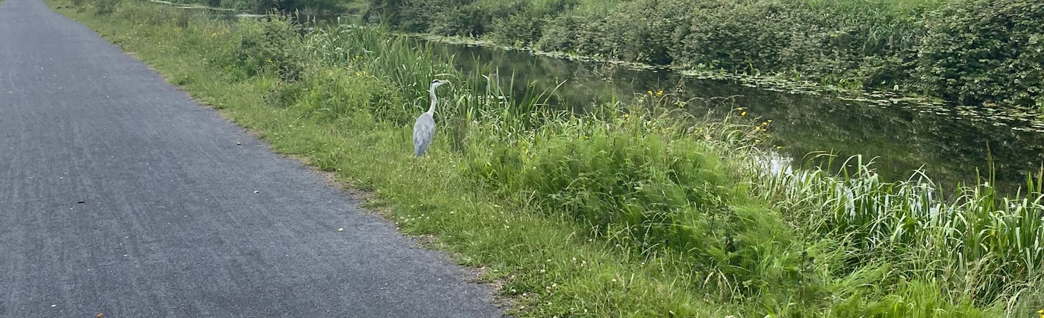 Grand Canal Way: Hazelhatch Bridge: 14 Reviews, Map - County Kildare ...