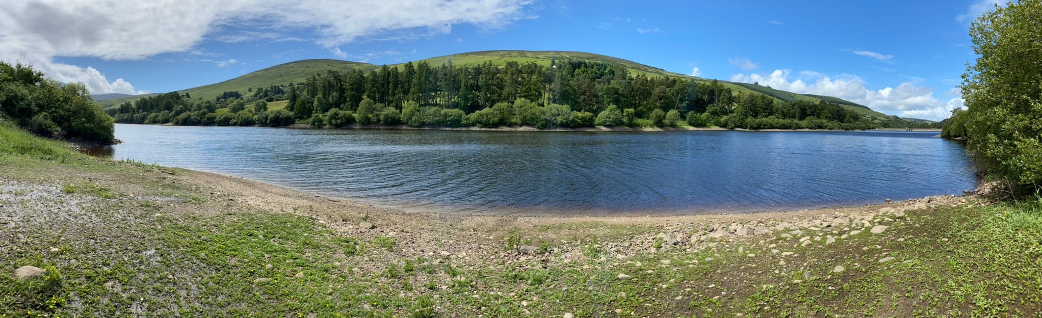 Dublin Mountains Way, County Dublin, Ireland - 85 Reviews, Map | AllTrails