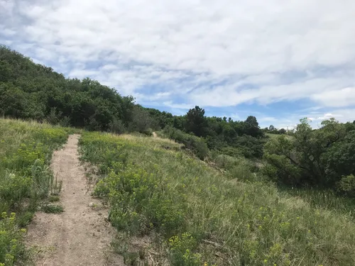 10 Best Hikes and Trails in Town of Castle Rock Trail Systems | AllTrails