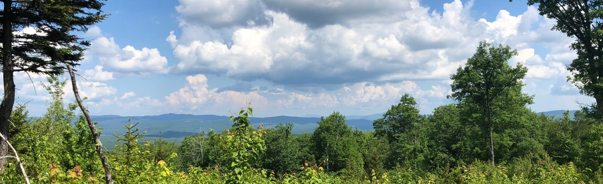 Mount Kearsarge via Lincoln Trail : 567 Reviews, Map - New Hampshire ...
