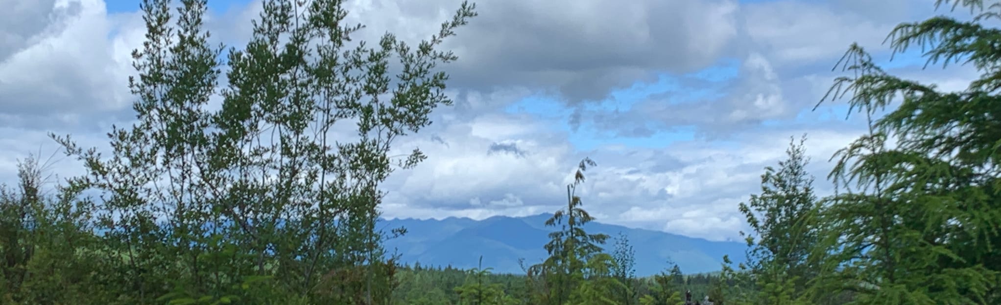 Chico Trail and South Loop, Washington - 574 Reviews, Map | AllTrails