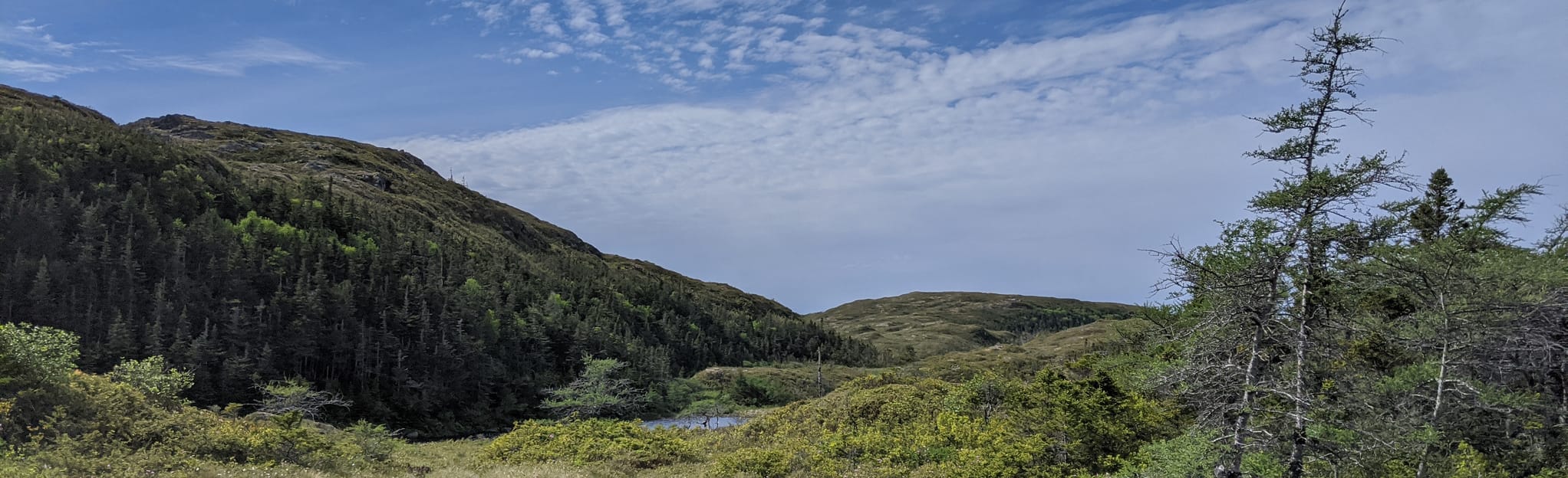 Fox Cove to Beau Bois OHV Trail: 16 Reviews, Map - Newfoundland and ...