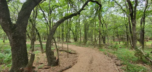 Best Hikes and Trails in Schulle Canyon Natural Area | AllTrails