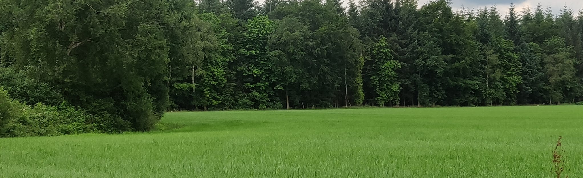 Annen - Gasteren, Drenthe, Netherlands - Map, Guide | AllTrails