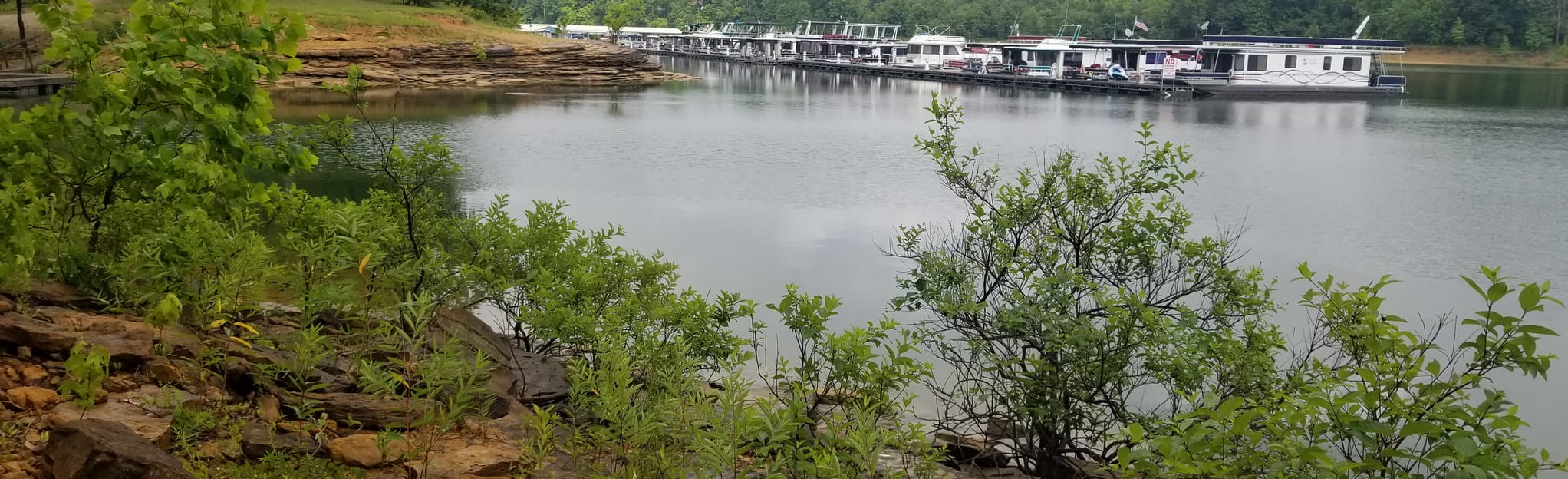 Lake Ridge Nature Trail: 41 Reviews, Map - Kentucky | AllTrails