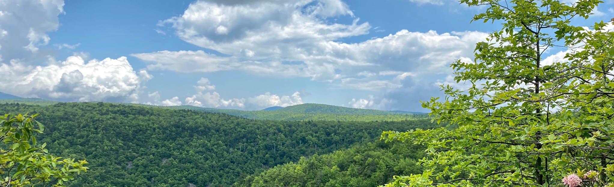 Big Levels to the Blue Ridge OHV Route, Virginia - 135 Reviews, Map ...