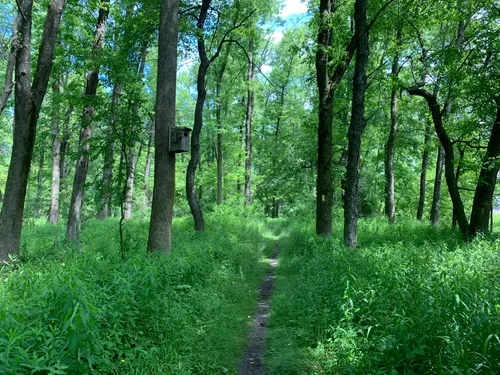 Best Hikes and Trails in Two Rivers | AllTrails