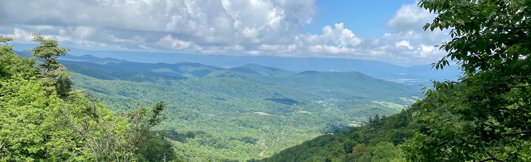 Lewis Falls via Lewis Spring: 282 Reviews, Map - Virginia | AllTrails