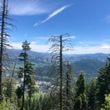 Tumwater Mountain Approach, Washington - 107 Reviews, Map | AllTrails