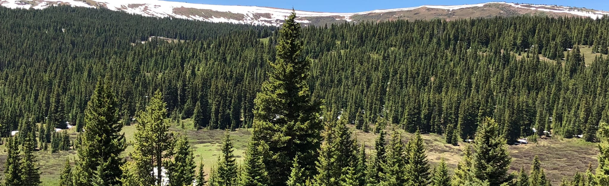Shrine Pass OHV Road to Resolution Creek Road, Colorado - 25 Reviews ...