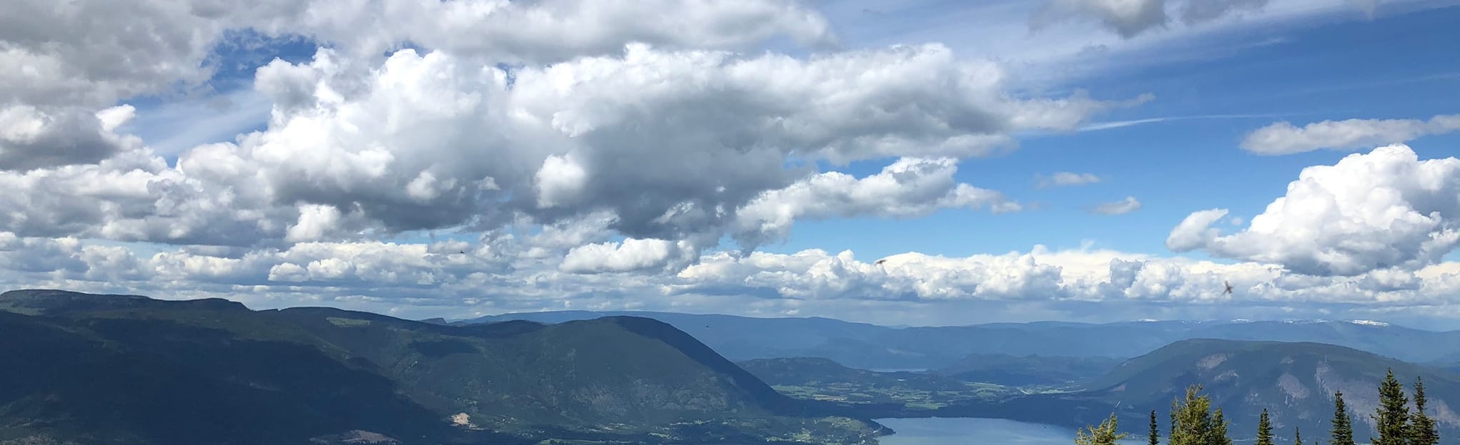 Mount Ida via East Peak Trail - British Columbia, Canada#N# | AllTrails