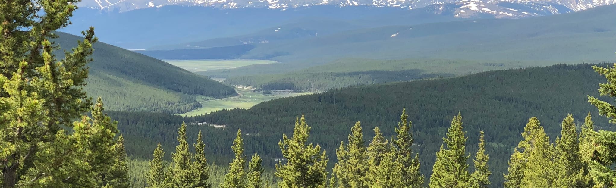 Vance's Cabin to Taylor Hill: 8 Reviews, Map - Colorado | AllTrails