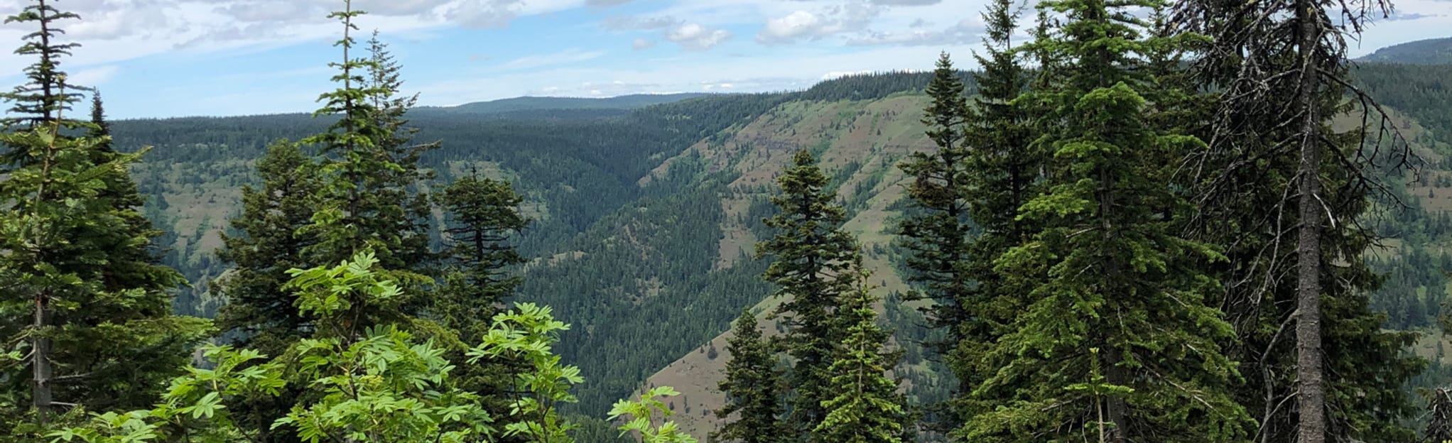 Umatilla Rim Trail 3080 and Forest Road 150, Oregon - 102 Reviews, Map ...