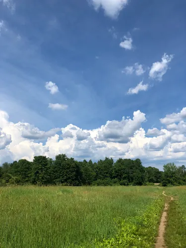 10 Best Hikes and Trails in Callahan State Park | AllTrails