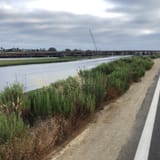 Old Sea World Drive Bay Trail, California - 202 Reviews, Map | AllTrails