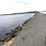 Old Sea World Drive Bay Trail, California - 202 Reviews, Map | AllTrails