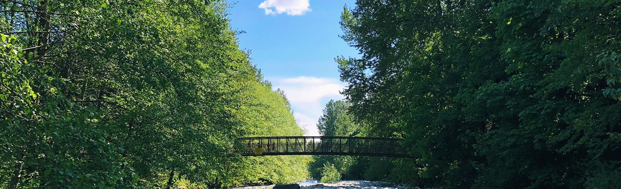 Inter River Park Loop: 403 Fotos - British Columbia, Kanada | AllTrails