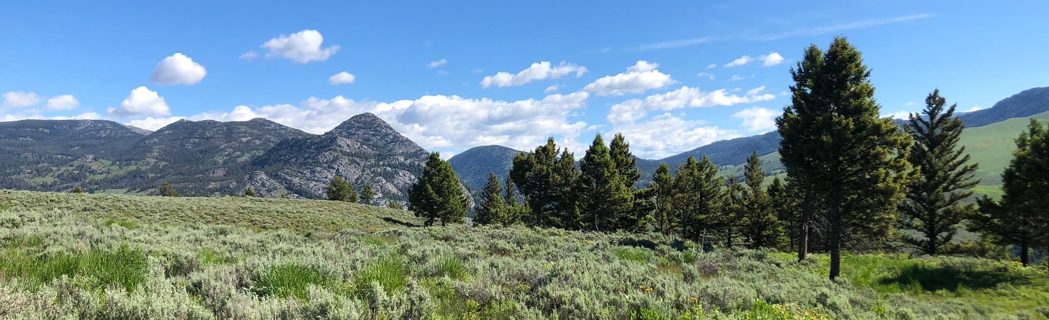 Garnet Hill Loop Trail: 103 Reviews, Map - Montana | AllTrails