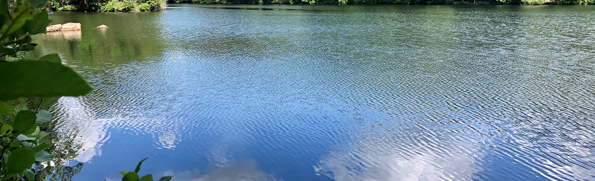 Pyramid Mountain, Tripod Rock, Bear Rock, Whale Head Rock: 993 Reviews ...