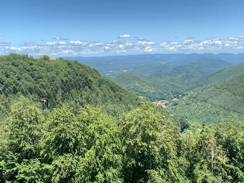 10 Best Hikes and Trails in Northern Vosges Regional Nature Park ...