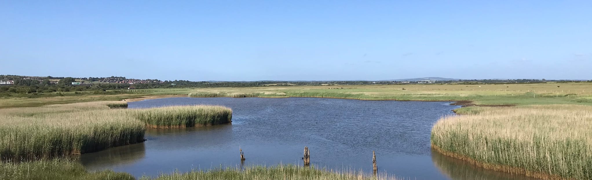 Farlington Marshes and Point Field Circular, Hampshire, England - 199 ...