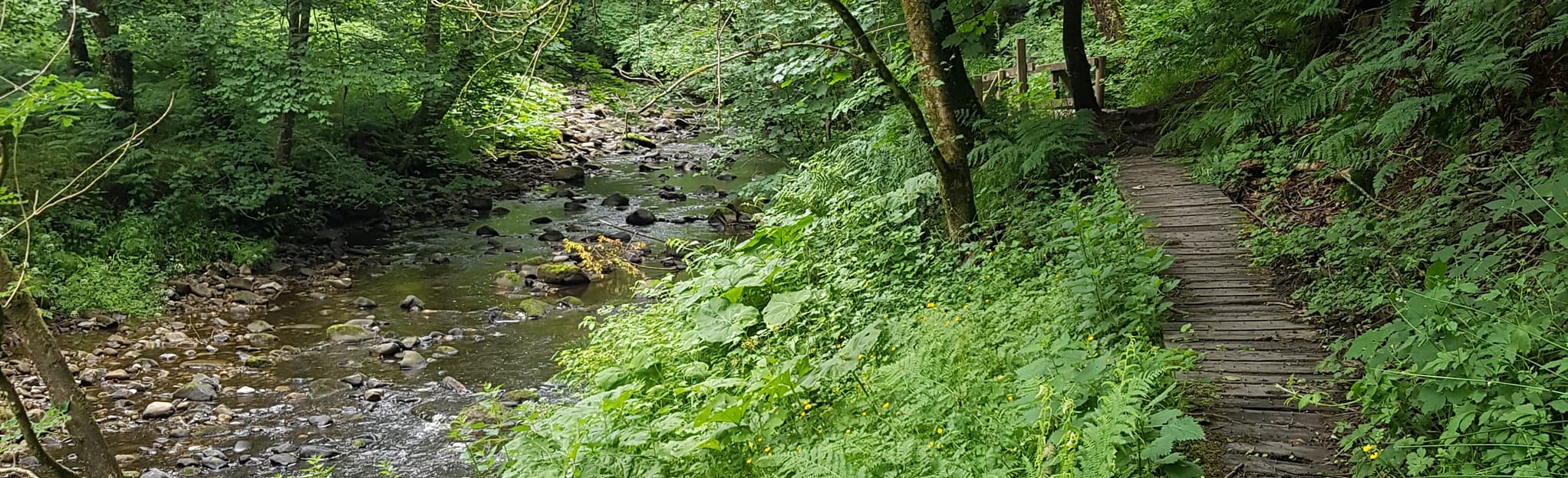 Brock Valley Circular | Map, Guide - Lancashire, England | AllTrails