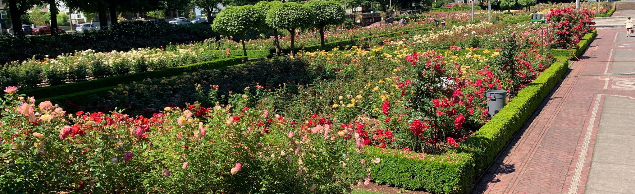 Peninsula Park and Rose Garden Loop, Oregon - 94 Reviews, Map | AllTrails