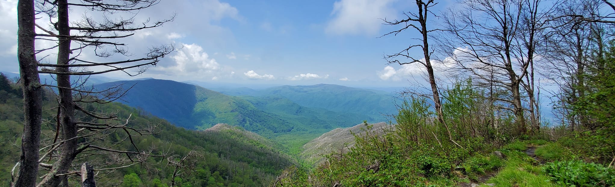 Mount LeConte and Rainbow Falls via The Bullhead Trail, Tennessee - 991 ...