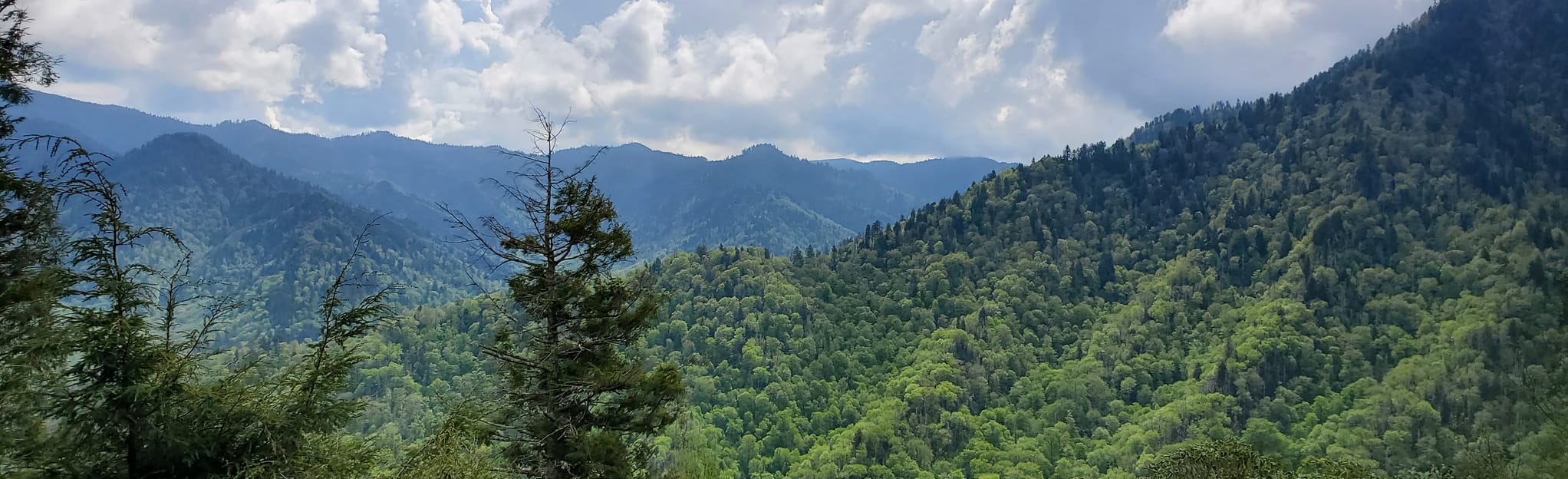 Sugarland Mountain to Road Prong Trail, North Carolina - 6 Reviews, Map ...