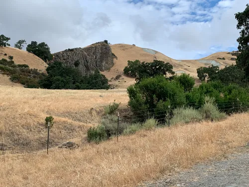10 Best Hikes and Trails in Sunol Wilderness Regional Preserve | AllTrails
