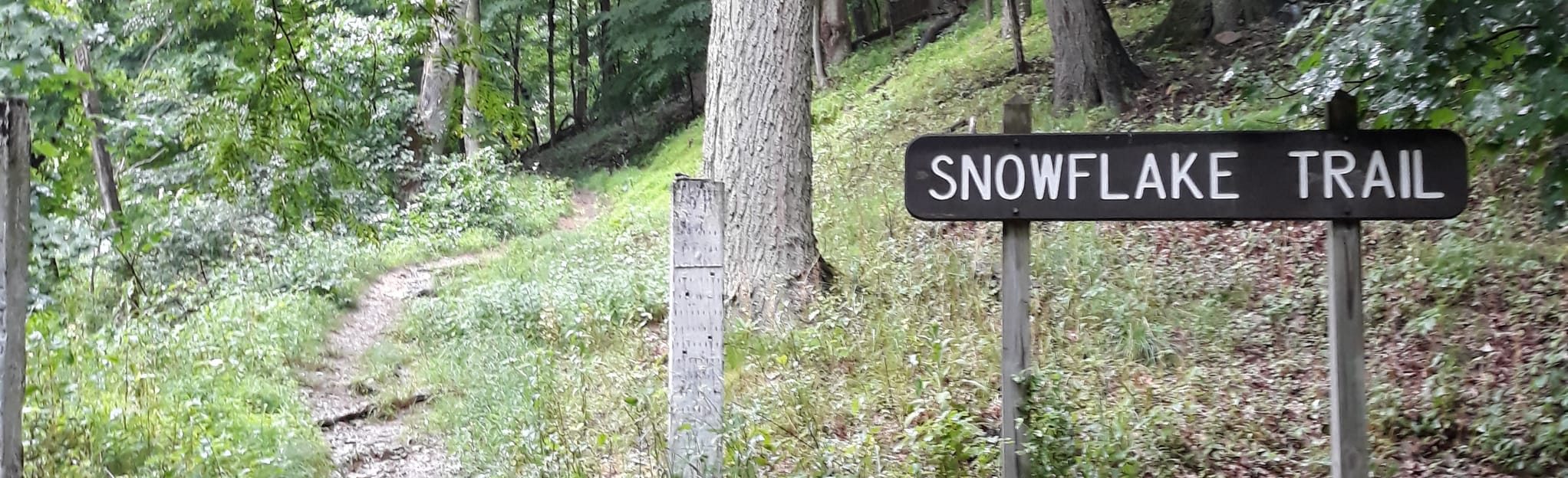 Snowflake Loop, Wissahickon and Bridle Trail: 94 foto - Pennsylvania ...