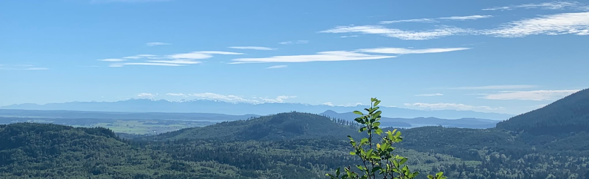 Alger Alps, Washington - 451 Reviews, Map | AllTrails