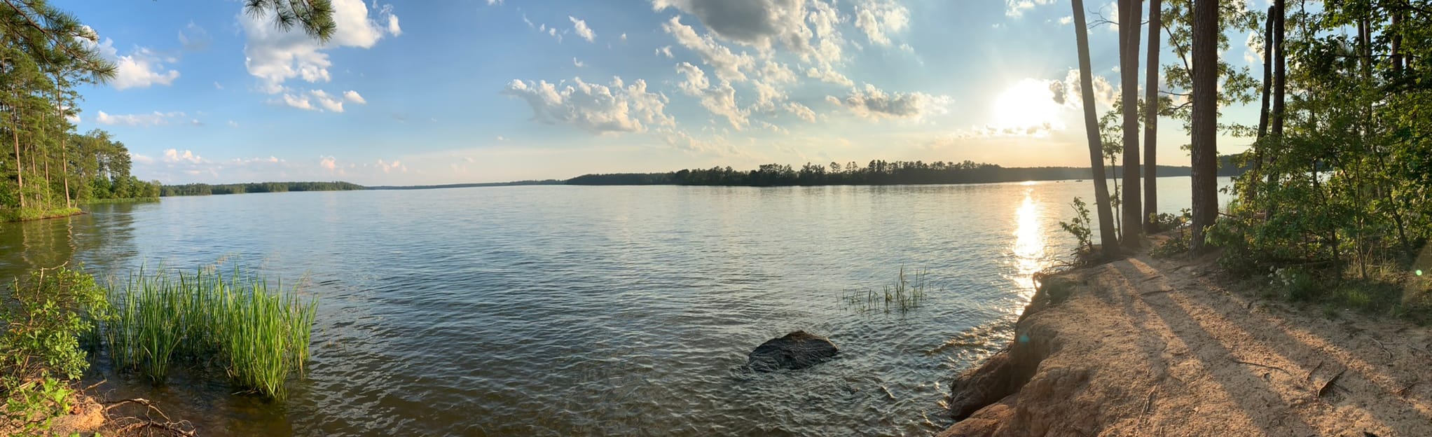 Harris Lake Peninsula Trail, North Carolina - 1,683 Reviews, Map ...