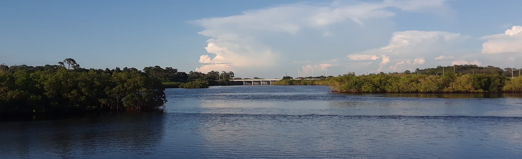 North Anclote River Nature Park Trail, Florida - 144 Reviews, Map ...