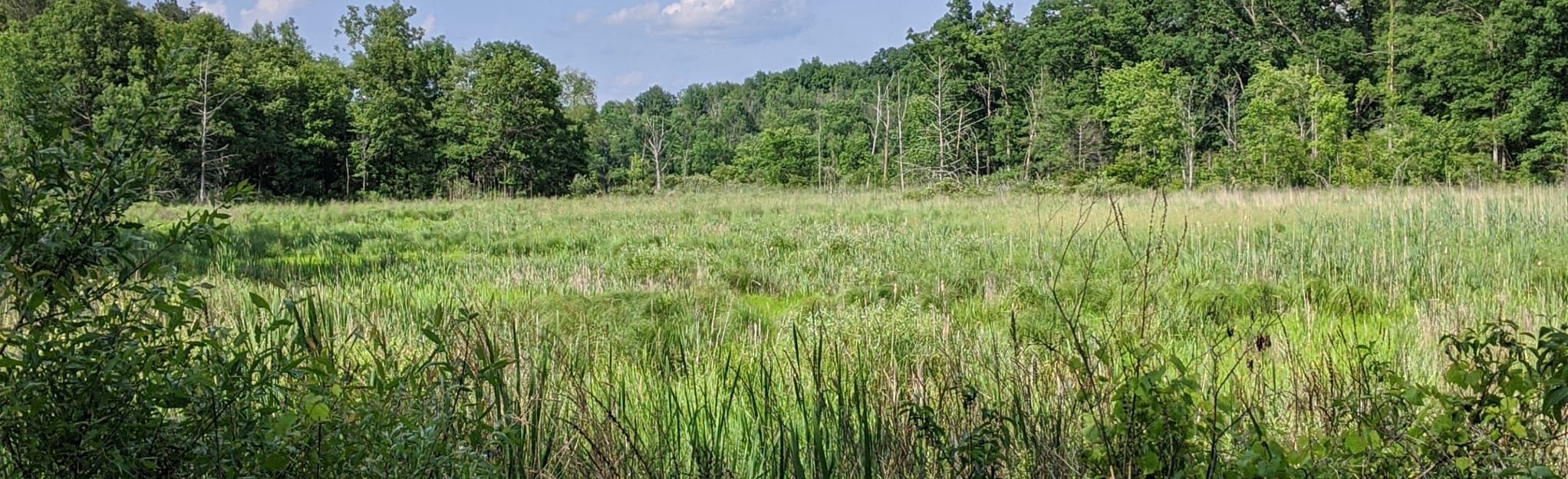 Hadley Hills EQ Loop : 116 Reviews, Map - Michigan | AllTrails