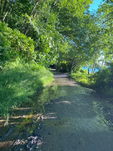 Best Hikes and Trails in Ed Munro Seahurst Park | AllTrails