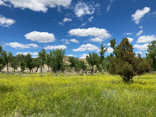 10 Best Trails and Hikes in Medora | AllTrails