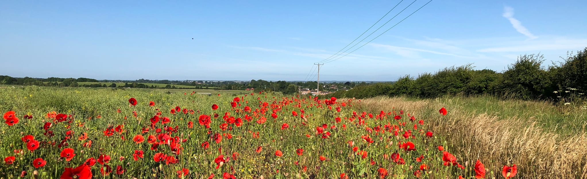 A Coventry Way: Wolston Circular: 13 foto - West Midlands, Inghilterra ...
