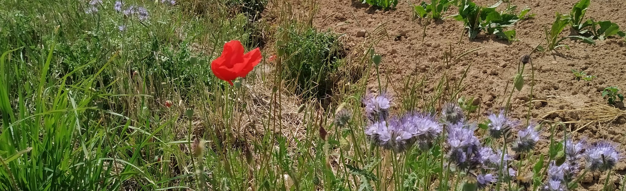 Circuit of Ramillies and Offus, Walloon Brabant, Belgium - 11 Reviews ...