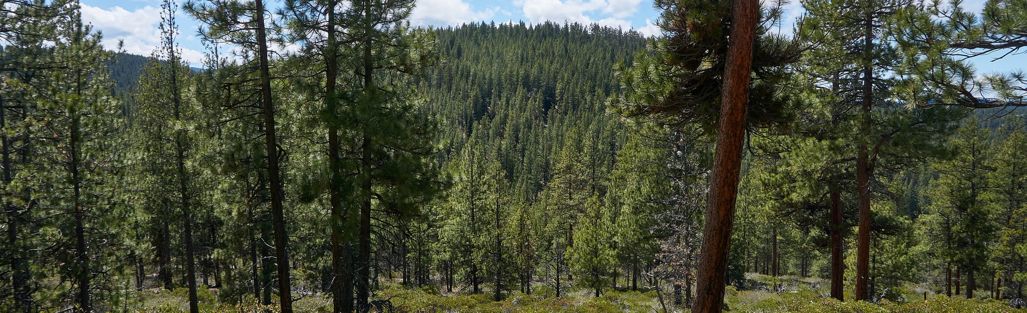 Fuzztail Butte via Arnold Ice Cave and Coyote #62 Loop, 32 Fotos ...