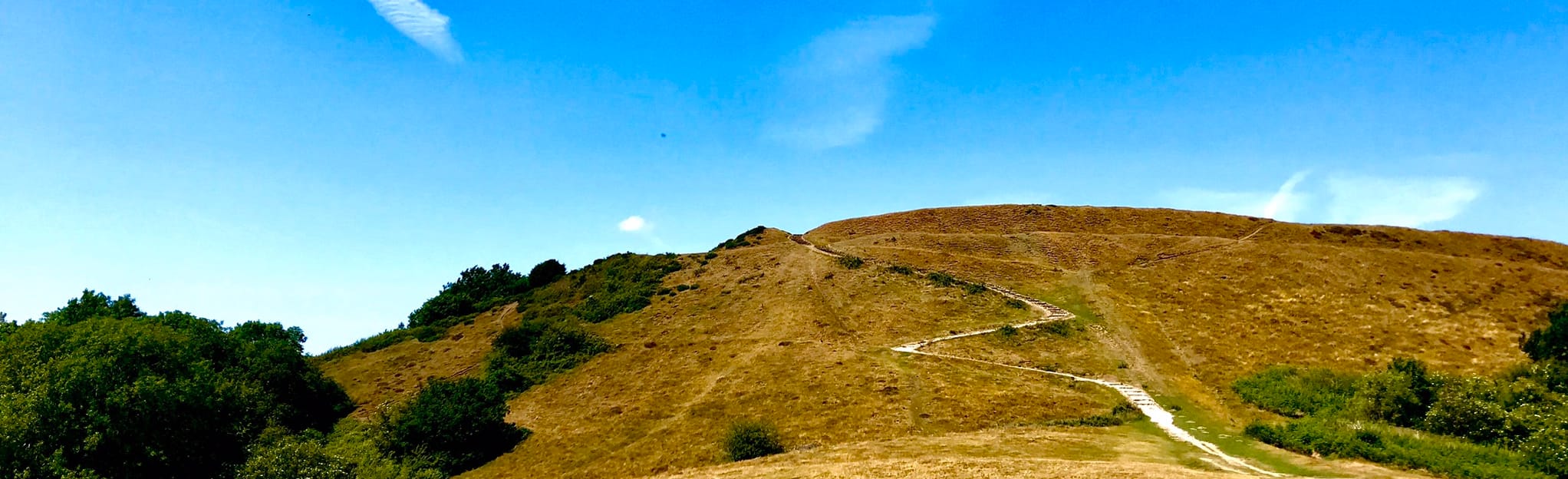 Gullet Quarry Circular: 311 Fotos - Herefordshire, England | AllTrails